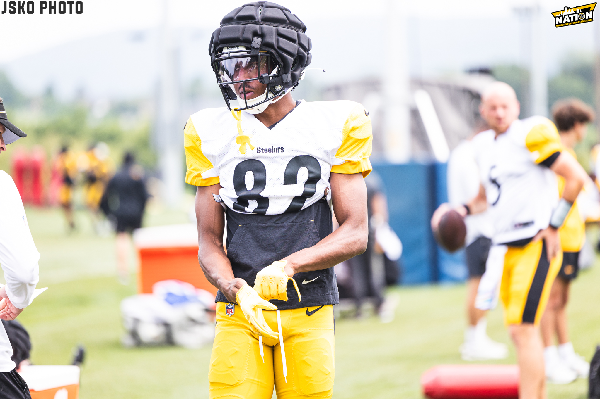 Steelers' Preseason Standout Dez Fitzpatrick Is Set Up For Success In ...