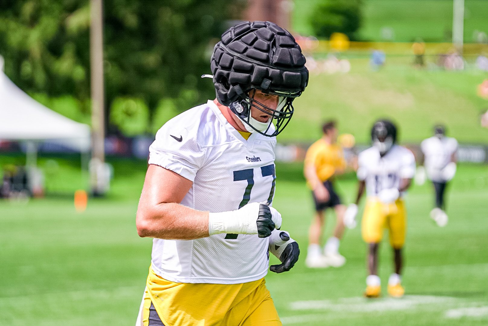 Steelers Add Multiple Exciting Veterans To Fill Up Initial Practice ...