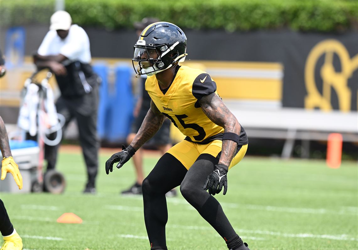 Steelers Sign Big Name Safety After DeShon Elliott Injury