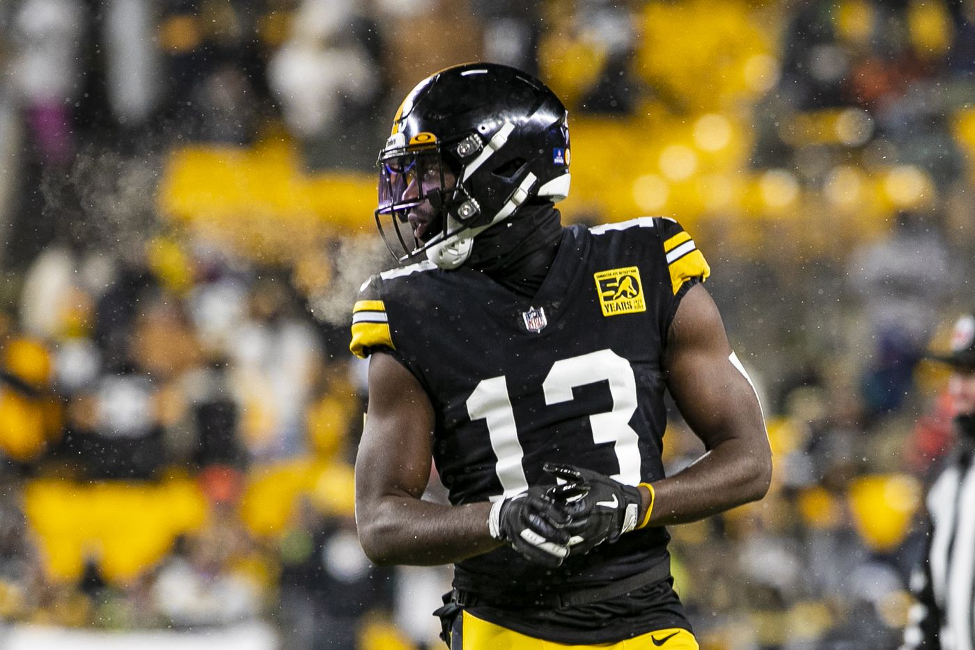 Steelers Wide Receiver Miles Boykin Will Have The Ability To Increase ...