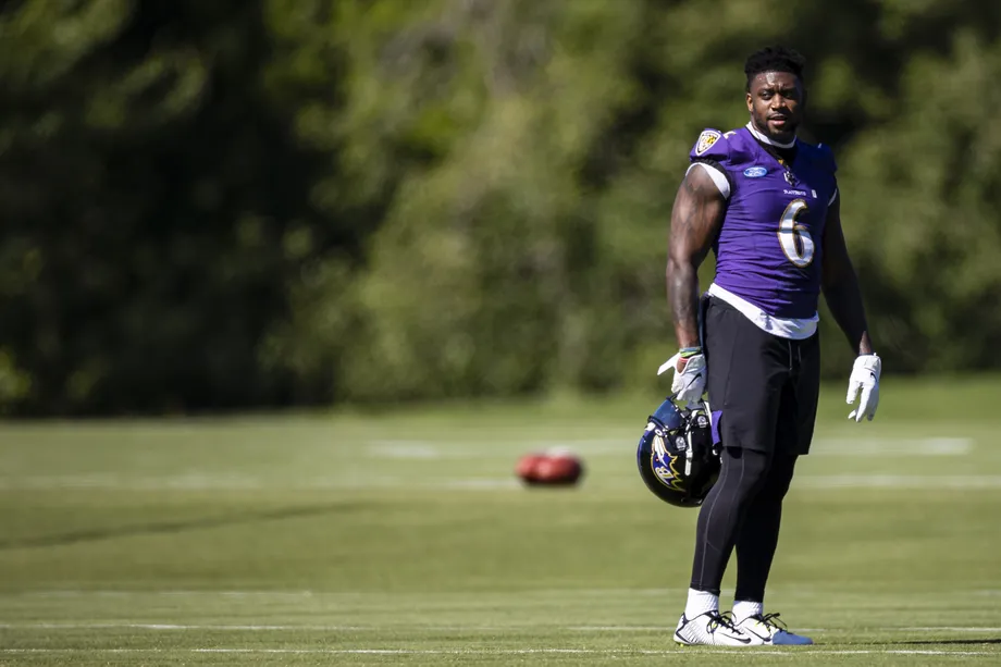 Steelers' Patrick Queen Finally Defended By The Ravenous Baltimore ...