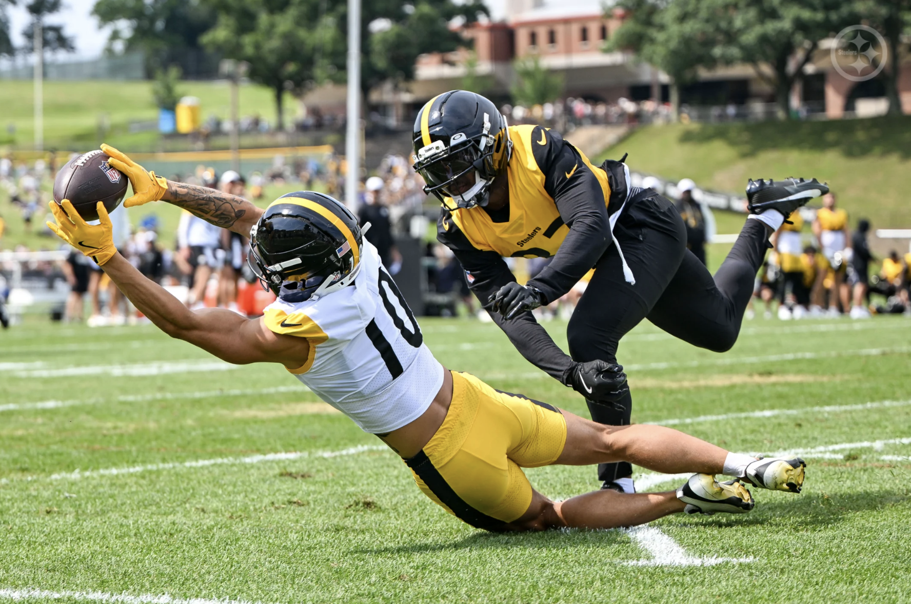 Steelers Fans Go Crazy After Hearing Roman Wilson's Bold Claim: "I'm ...