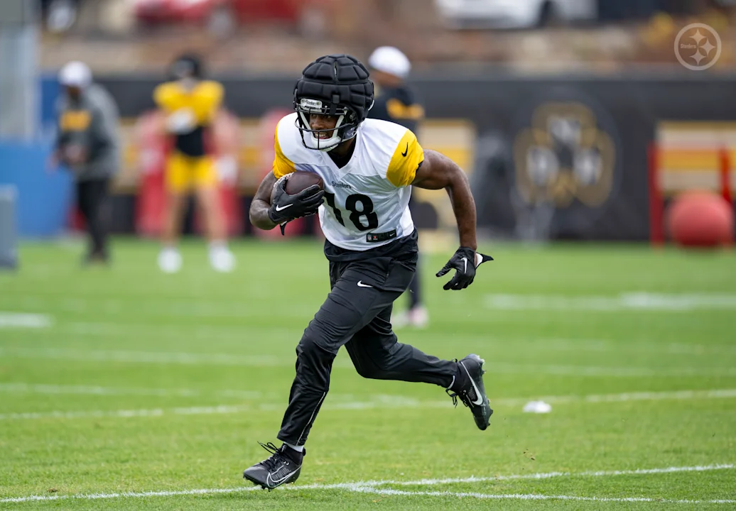 Steelers' Mike Williams Says "F*** It" About Not Being Involved Offensively