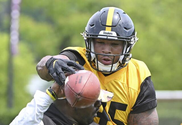 Steelers’ Teryl Austin Drops Hint About Impressive Undrafted Outside ...