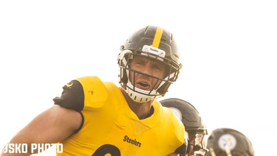 Why Steelers Fans Find Entertainment On and Off the Field