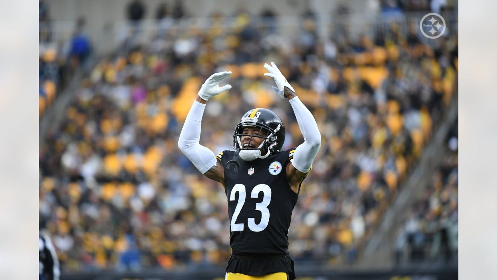 Joe Haden Injury Considered Not Serious