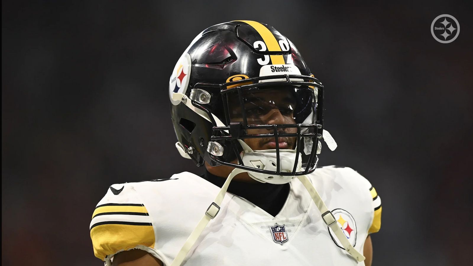 Steelers' Minkah Fitzpatrick Receives Big Praise From Alabama's Nick ...