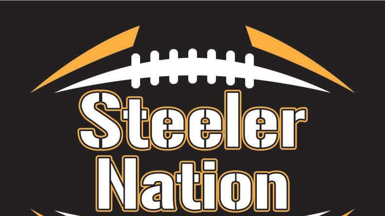 Steeler Nation We Are Better Than You