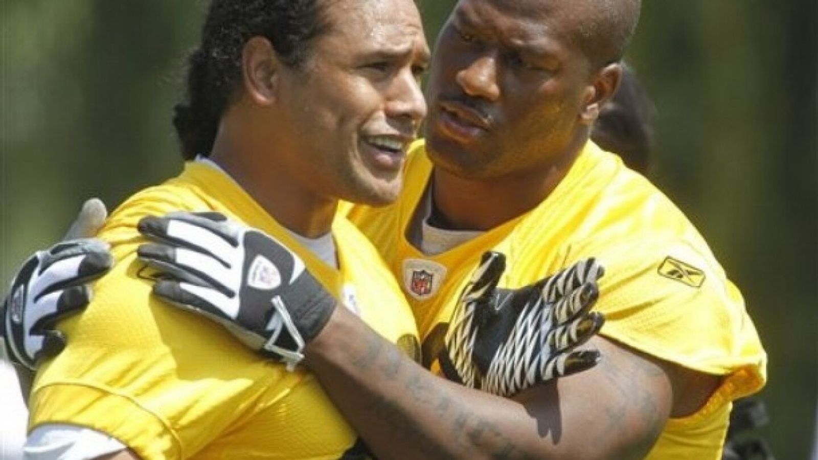 Troy Polamalu's Former Steelers Teammate Reveals Hidden Side Fans Never Saw
