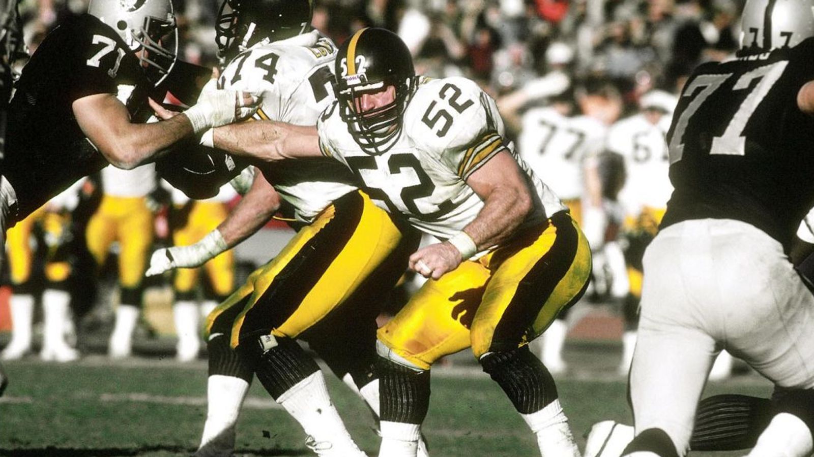 Steelers’ Mike Webster Was So Frustrated With Chuck Noll, He Threw A ...