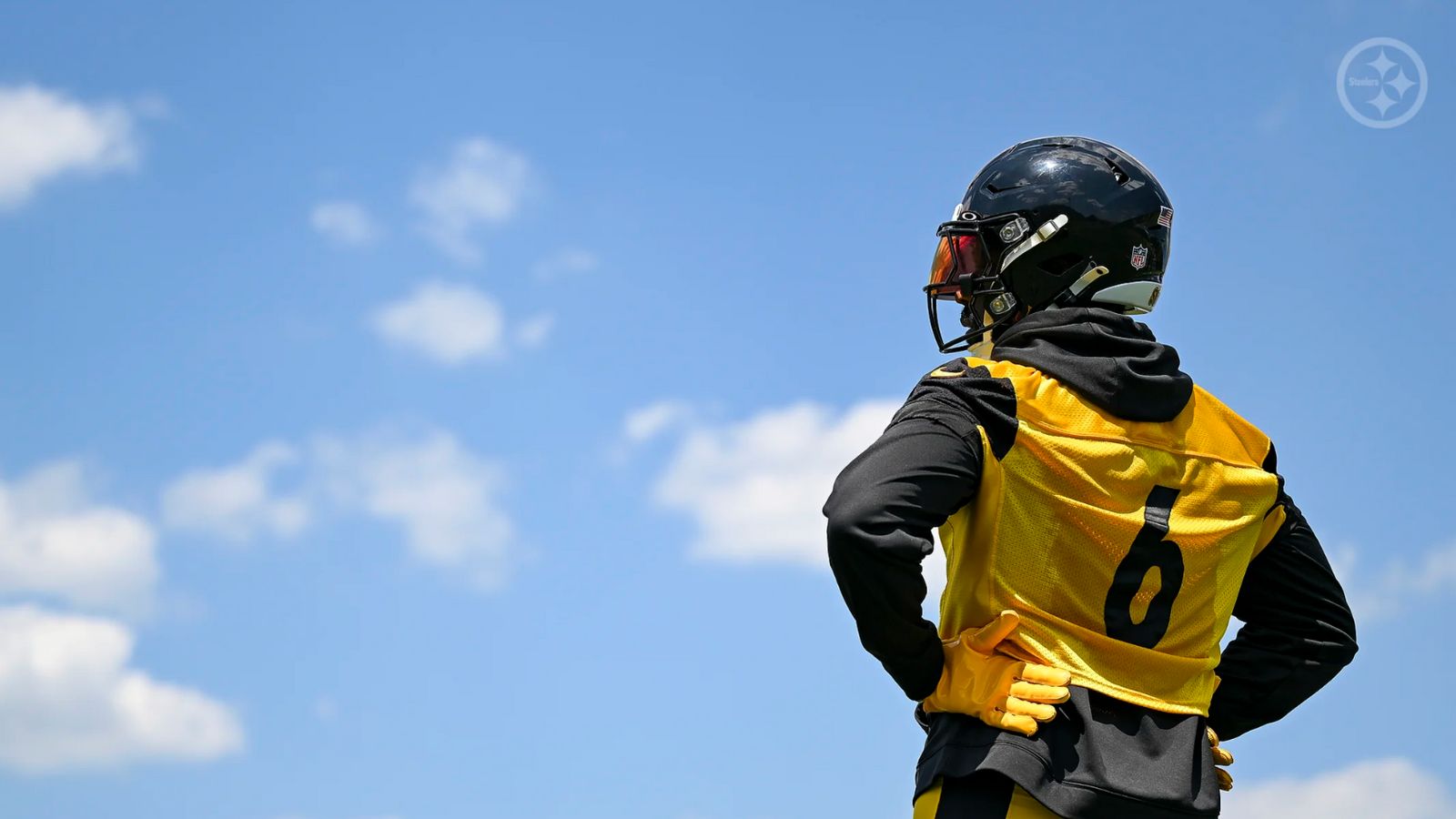 Steelers' Patrick Queen Finally Defended By The Ravenous Baltimore ...