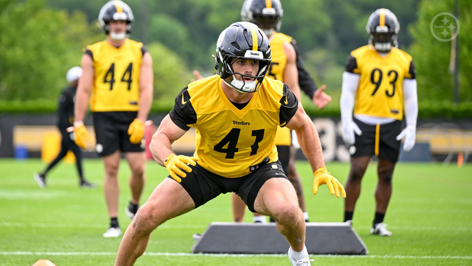 Steelers' Payton Wilson Makes His Desires Clear Concerning His Role On Defense In 2025