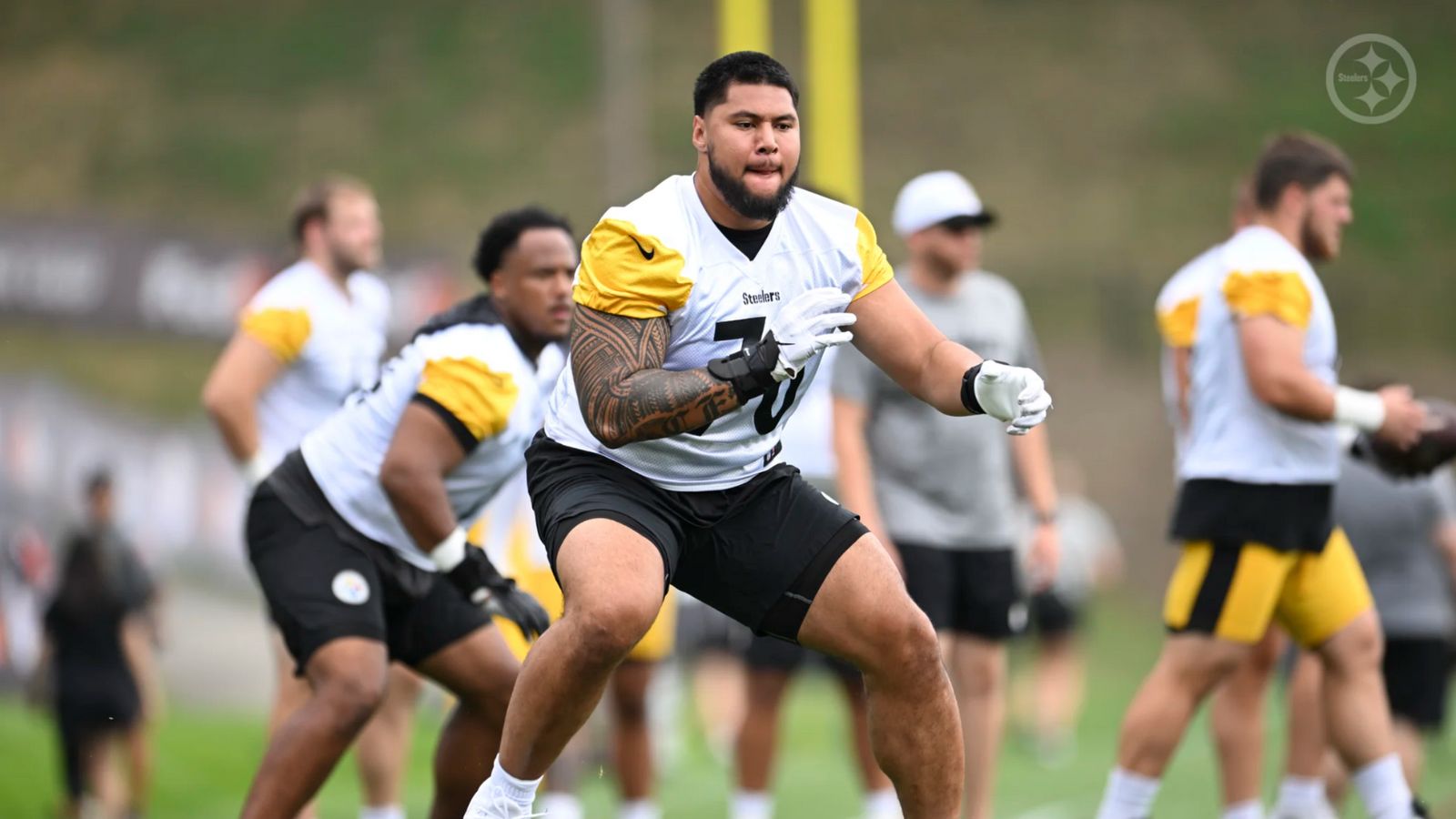 Steelers' New Draft Class Has "More Immediate Maturity" Than 2023 Says ...