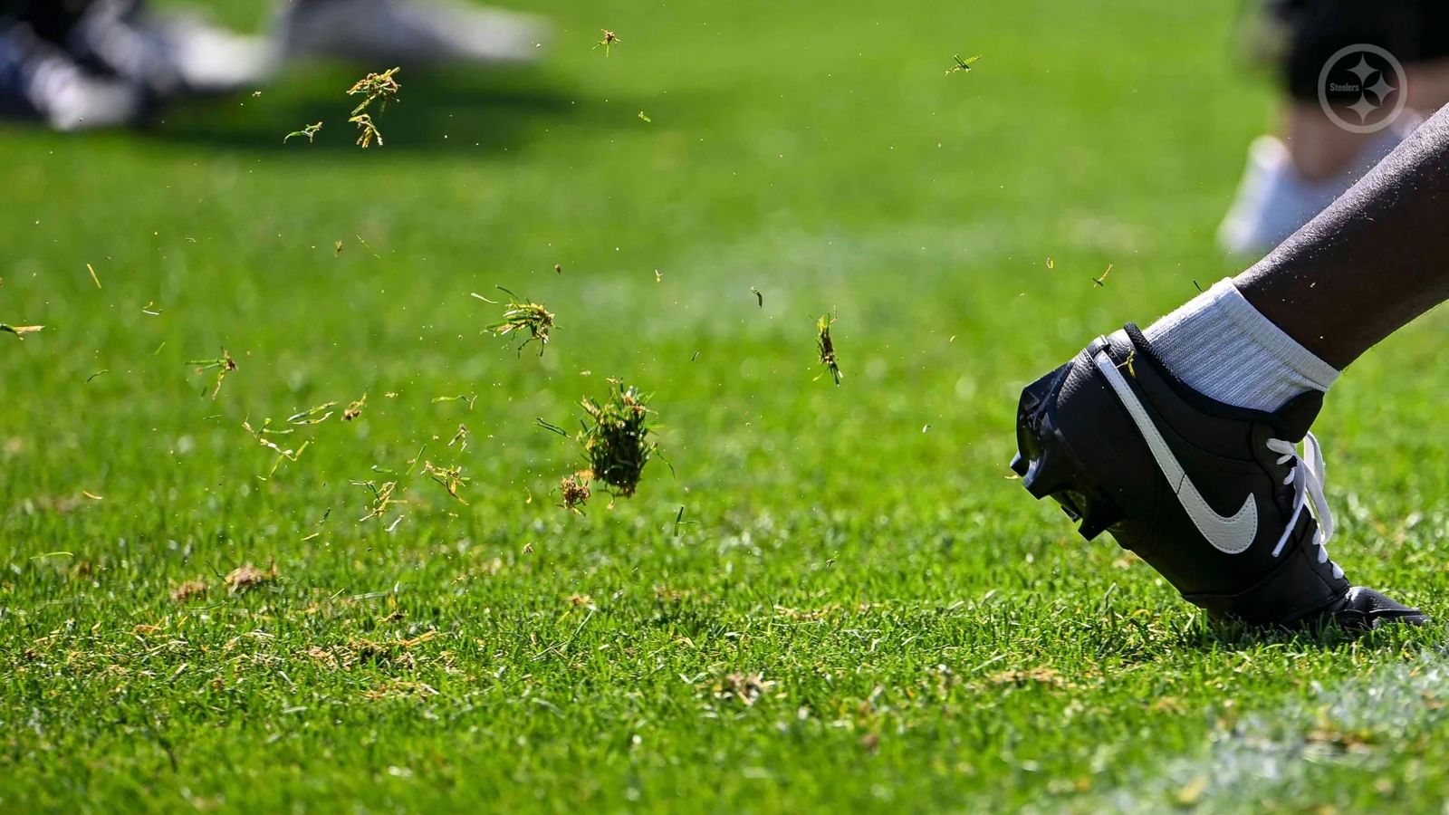 Several Surprising Names Headline Steelers List Of Winners From Mini Camp